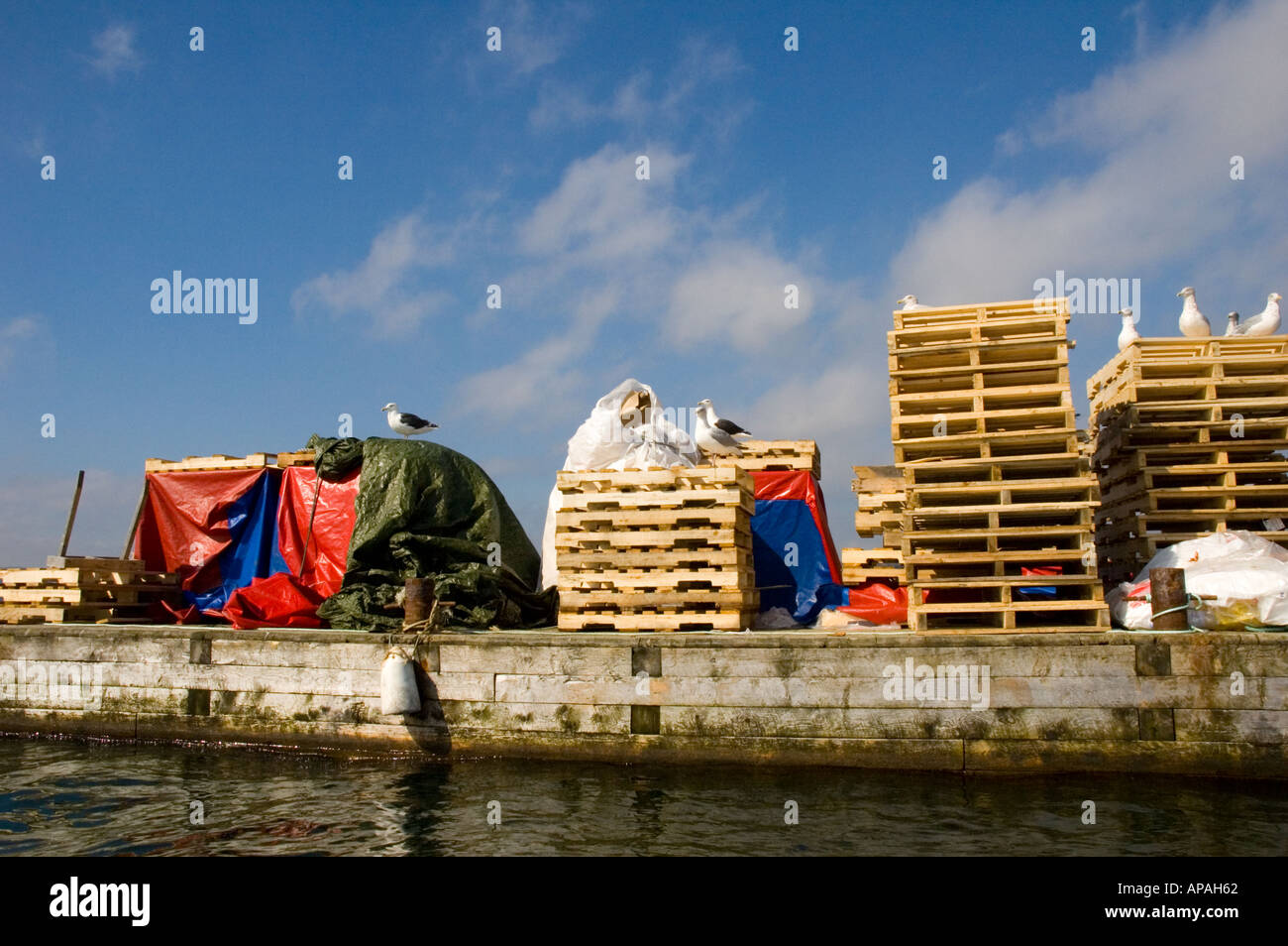 Salmon farming aquaculture barge on the Passamaquoddy Bay by St Andrews ...