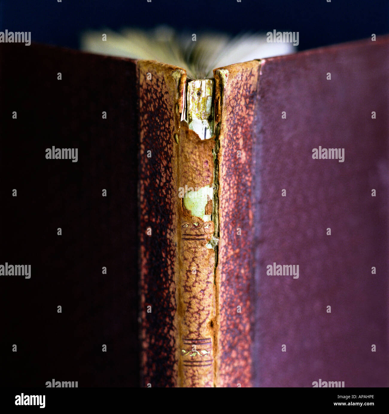 Detail of battered red leather book Stock Photo - Alamy