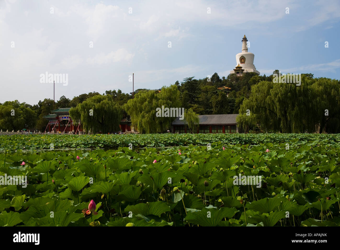 View of North Sea Park Beijing Stock Photo - Alamy