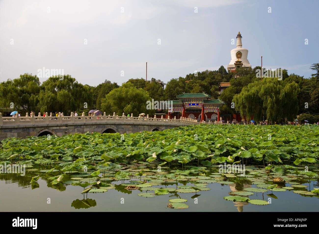 View of North Sea Park Beijing Stock Photo - Alamy