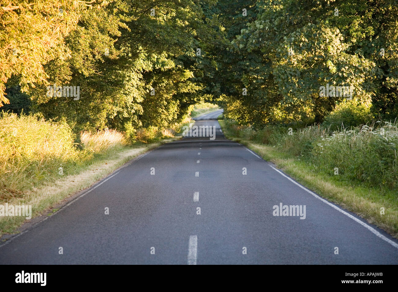 B Road Sussex UK England UK Europe Stock Photo - Alamy