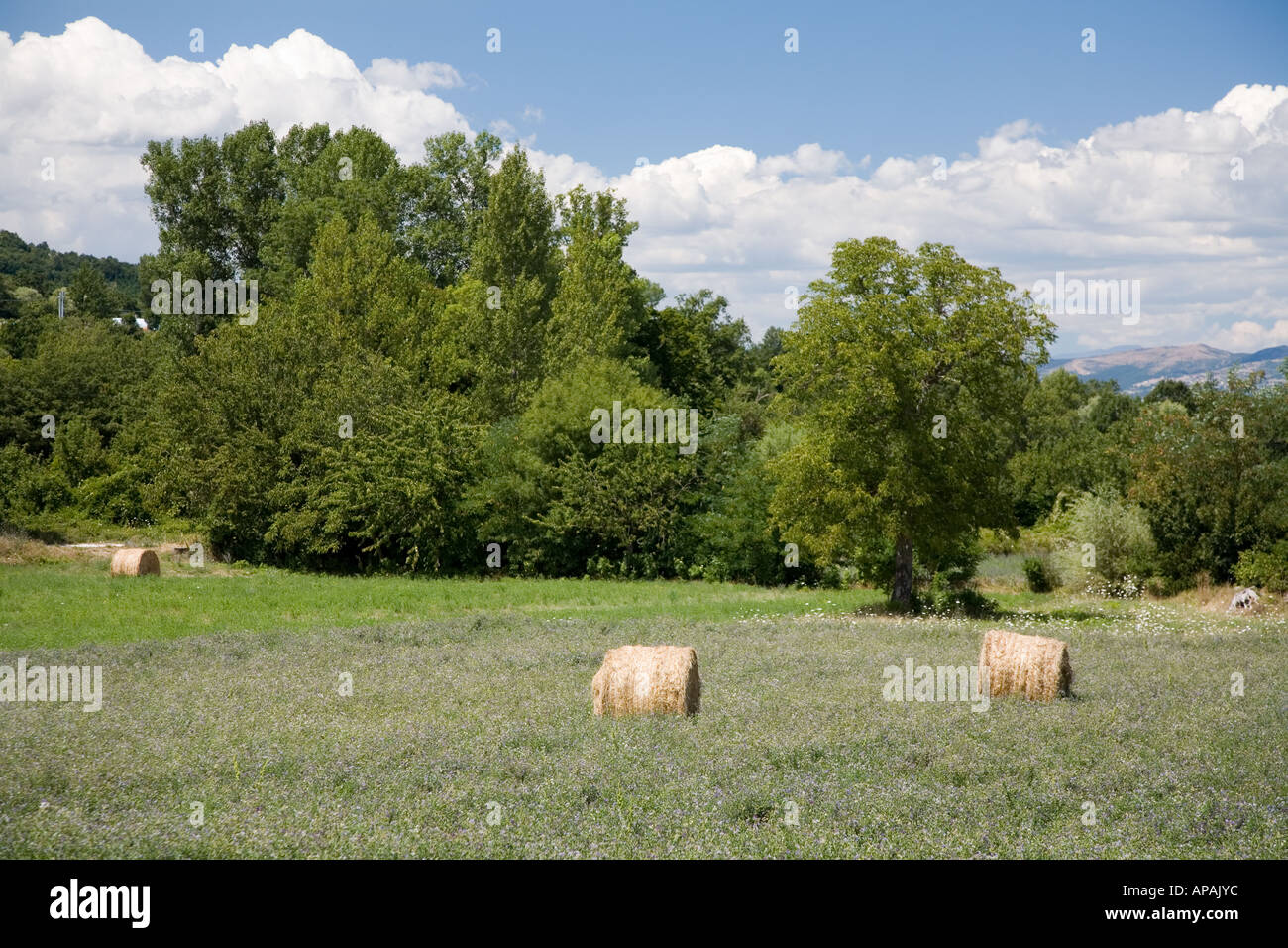 Sepina hi-res stock photography and images - Alamy