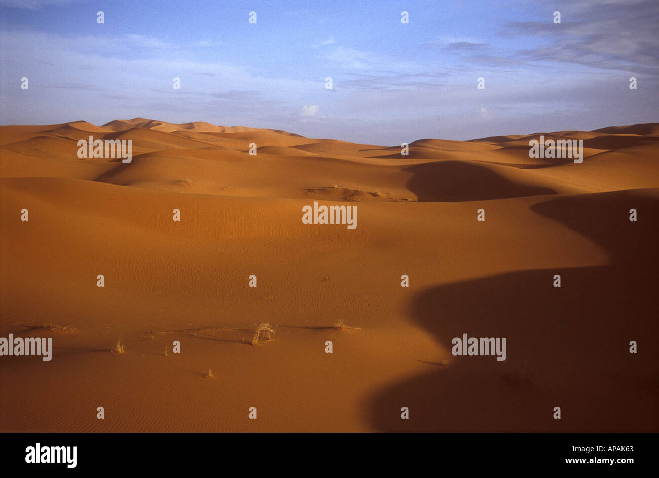 sand dunes in Morocco Stock Photo - Alamy