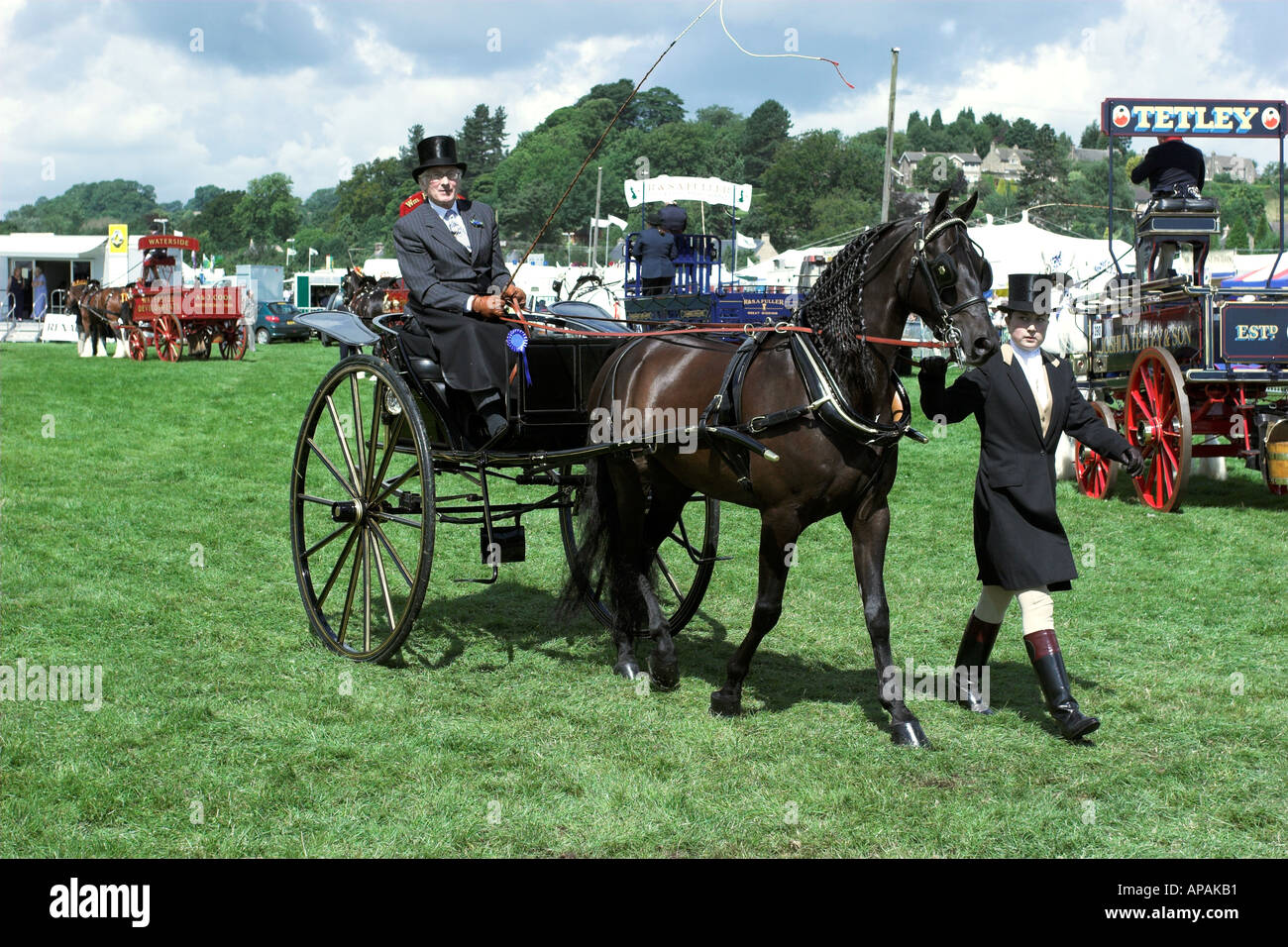 Horse horses pony ponies and trap traps hi-res stock photography and ...