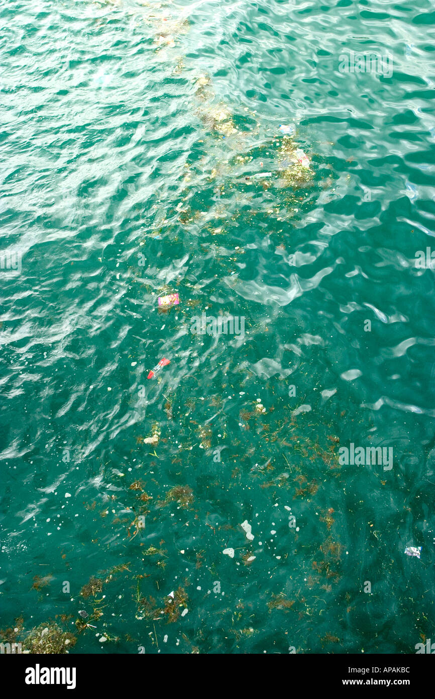 pollution in sea in a harbor Stock Photo - Alamy