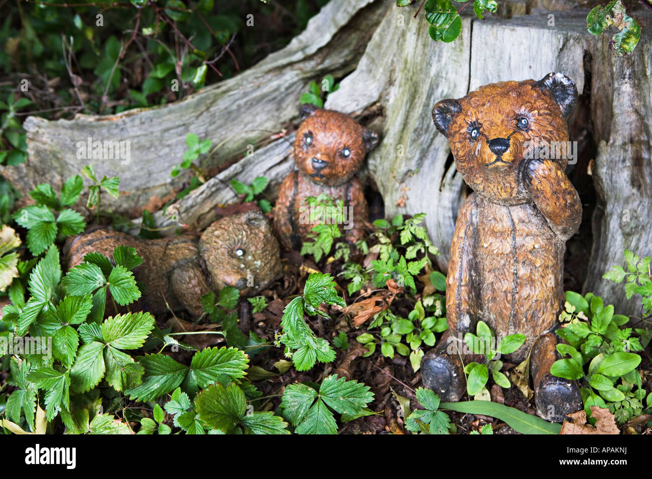 Ashurst wood hi-res stock photography and images - Alamy