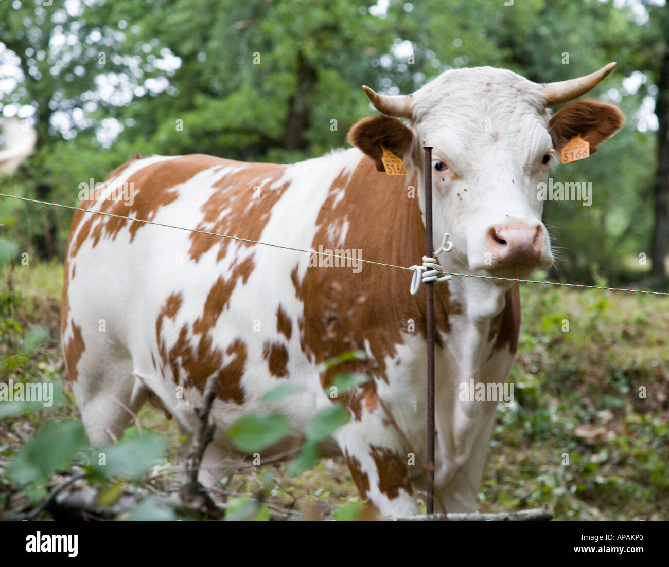 Sant friend hi-res stock photography and images - Alamy