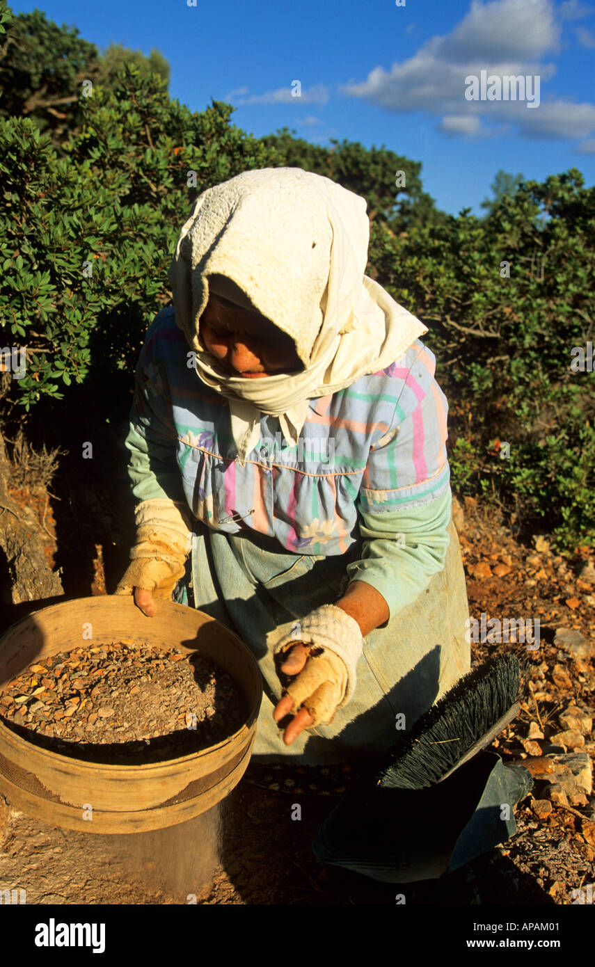 Mastic villages chios hi-res stock photography and images - Alamy
