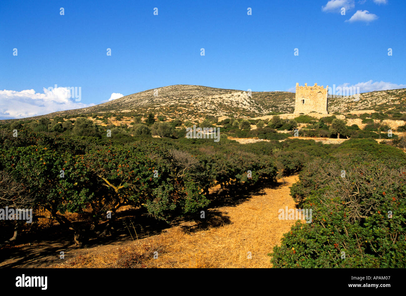 Mastica hi-res stock photography and images - Alamy