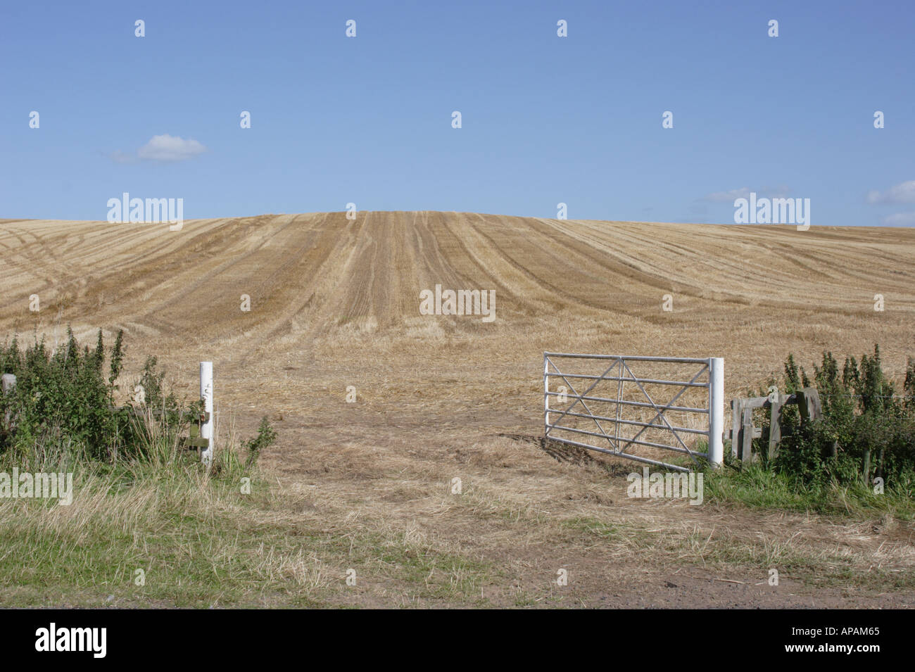 White open gate onto a field Stock Photo - Alamy
