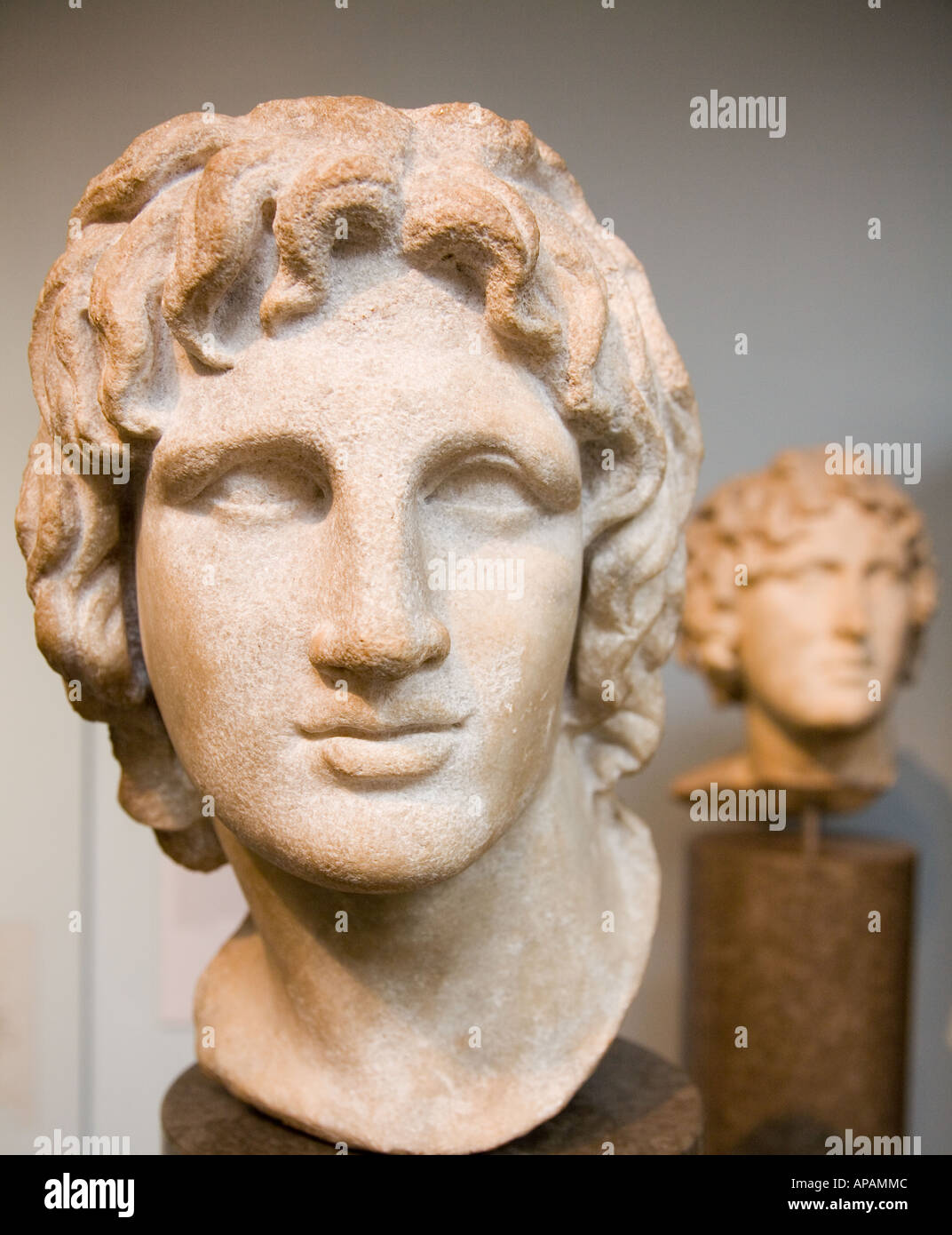 Head Of Alexander The Great British Museum