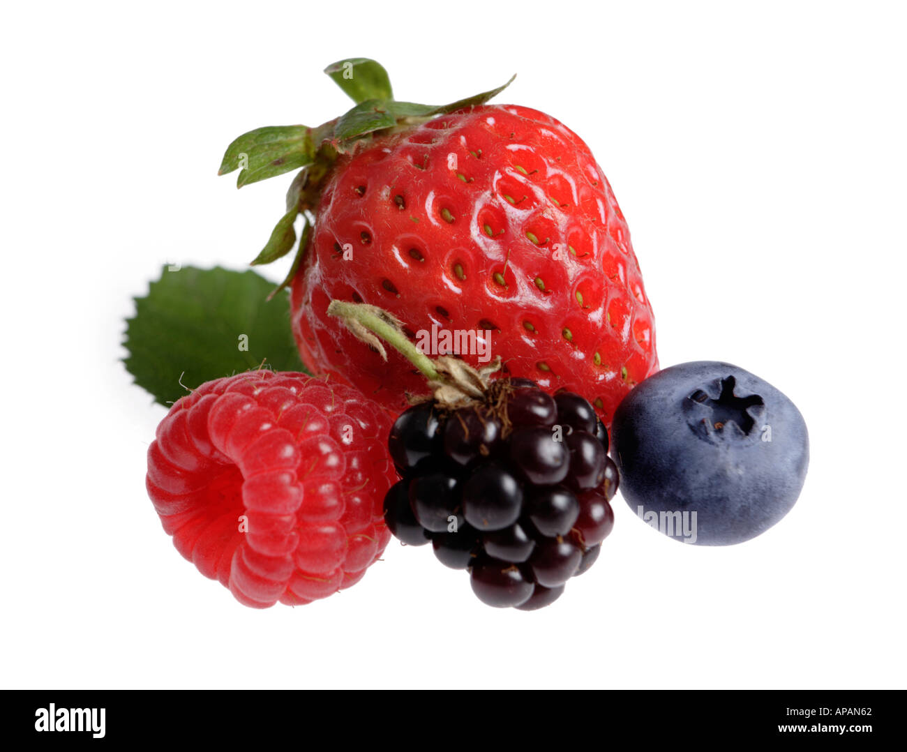 Strawberry varieties Cut Out Stock Images & Pictures - Alamy