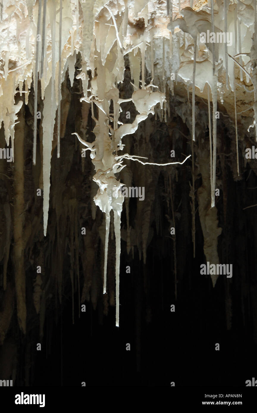 A crystal helictite in Jewel Cave, Western Australia Stock Photo - Alamy