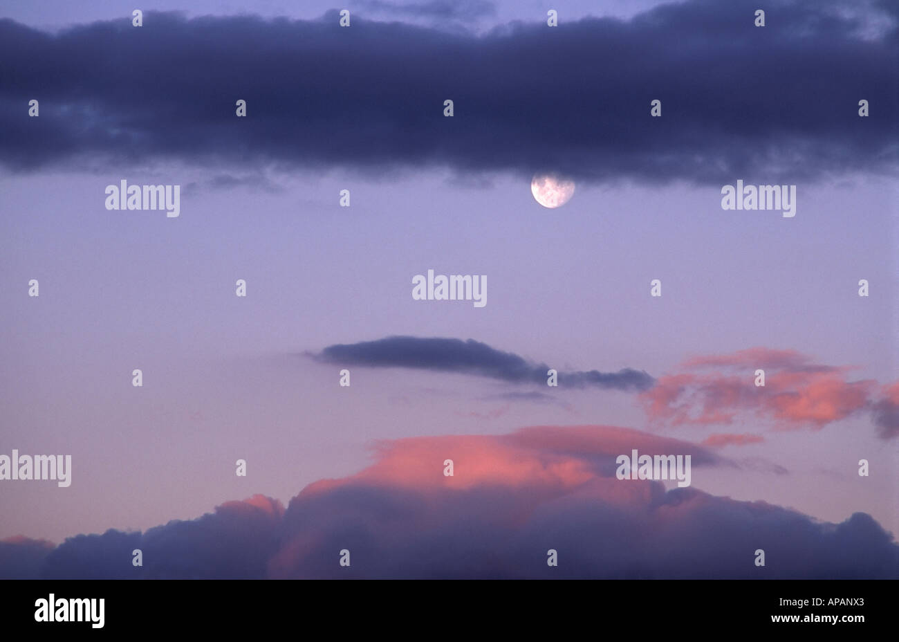 Full Moon and Clouds Stock Photo - Alamy