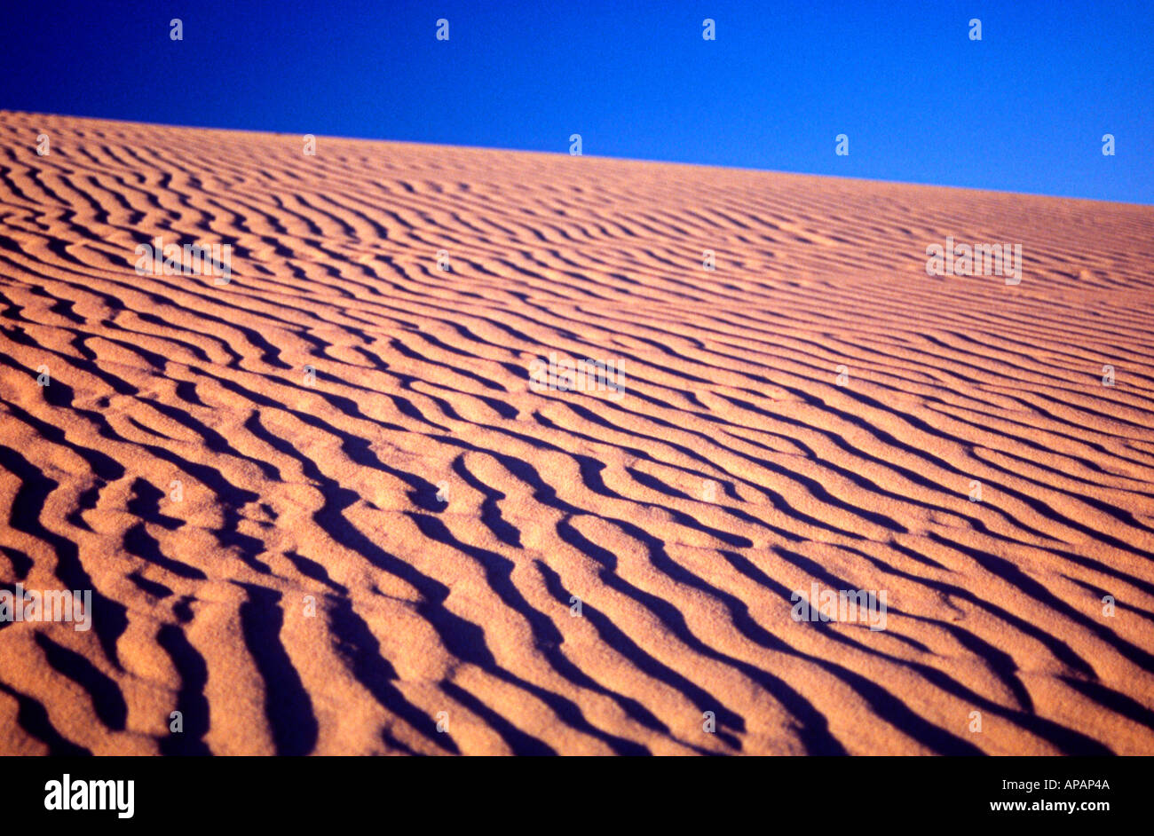 Indian Head Sand Dunes Fraser Island East Coast Australia Stock Photo ...