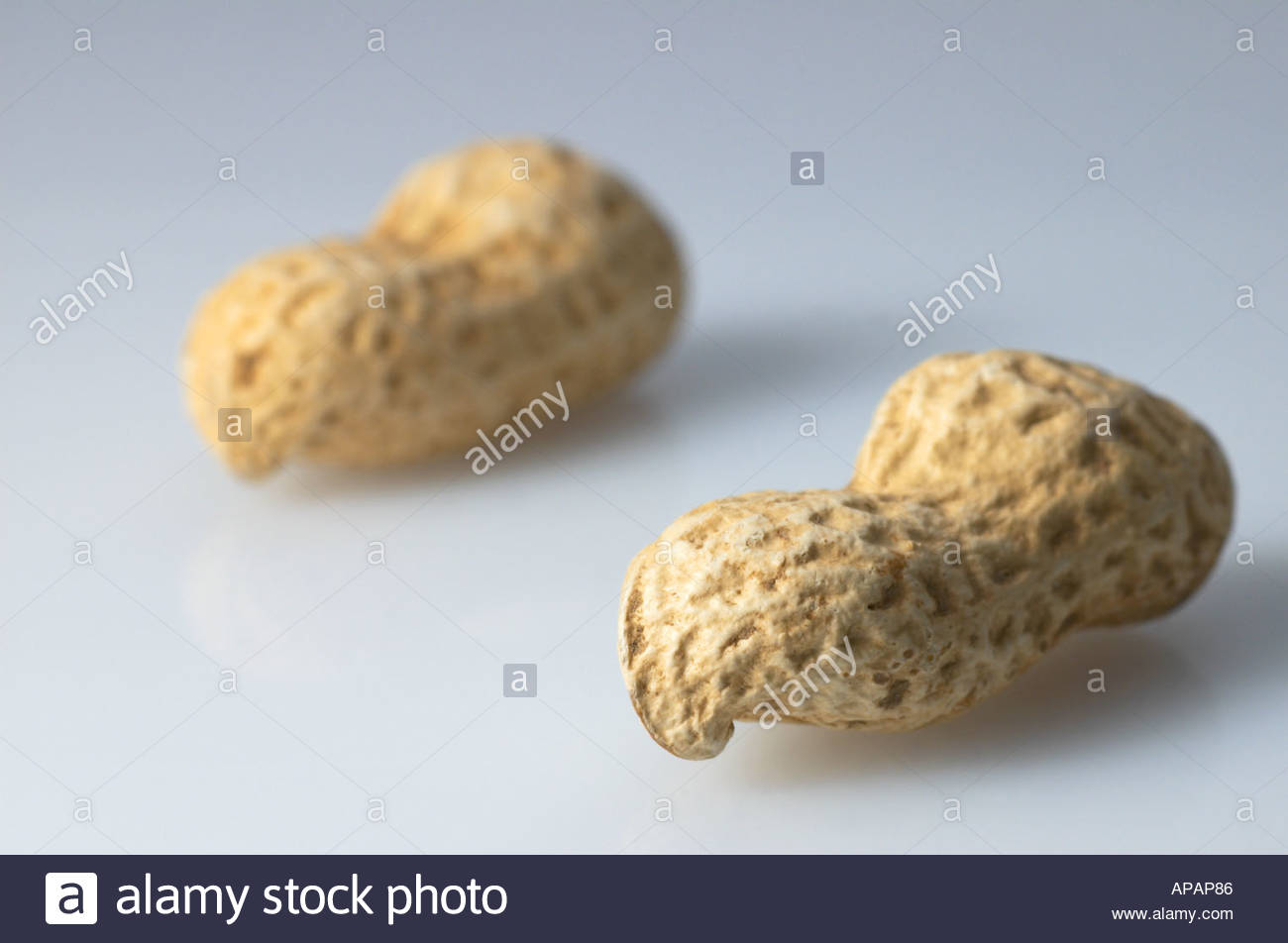Peanuts in their shells Stock Photo - Alamy