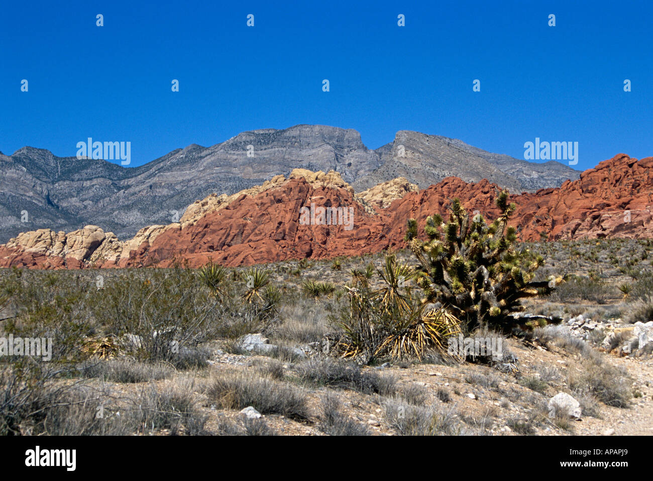 Red rocks panorama nevada hi-res stock photography and images - Alamy