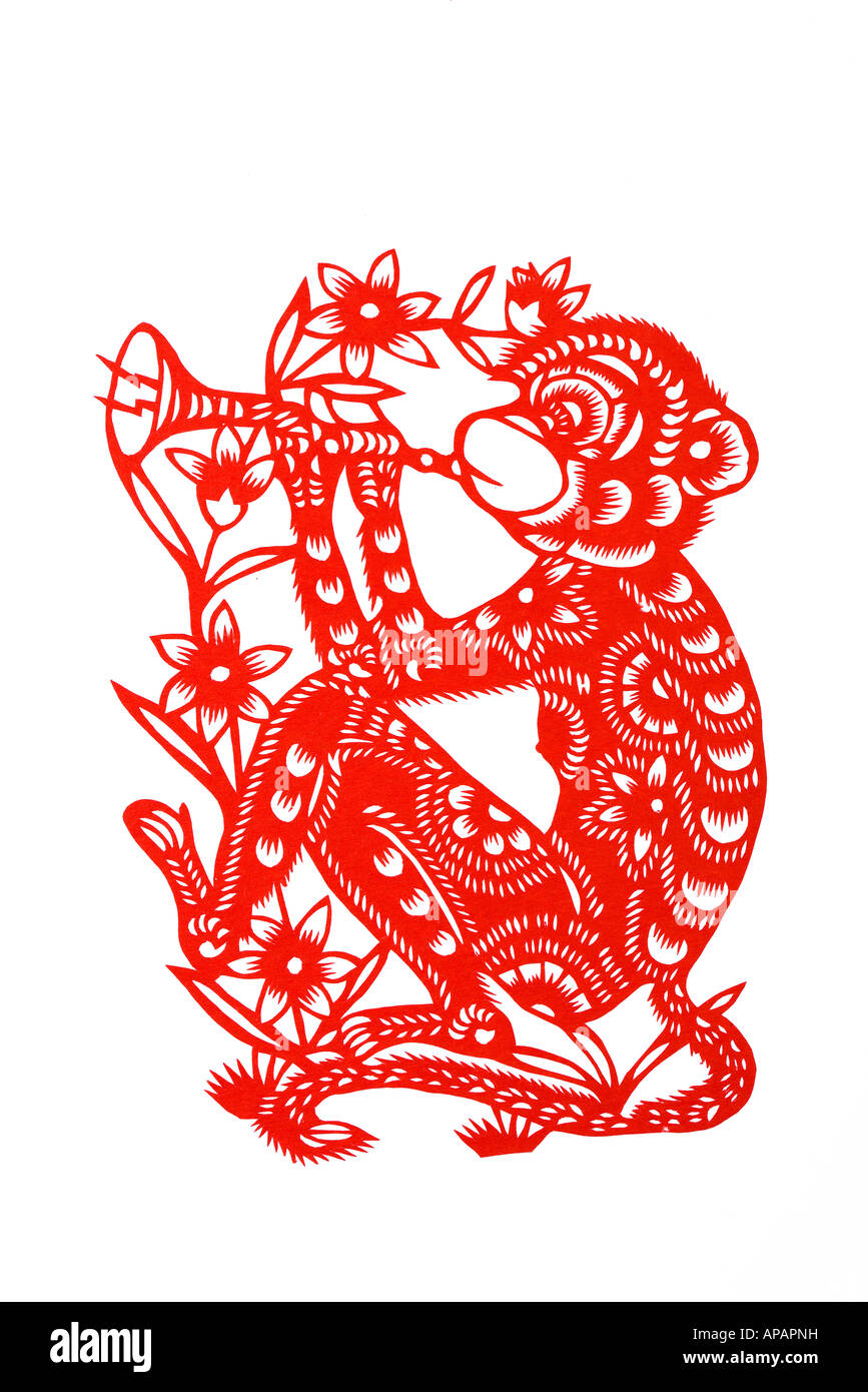 Apes of asia Cut Out Stock Images & Pictures - Alamy