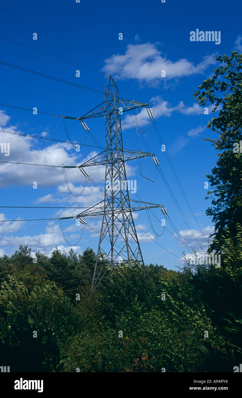 Electricity Pylon on Esher Common, near Esher, Surrey, England, UK ...
