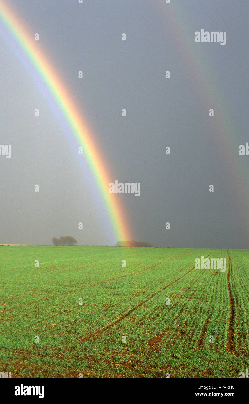 Rainbow over Field in the Cotswolds, Gloucestershire, England, UK Stock ...