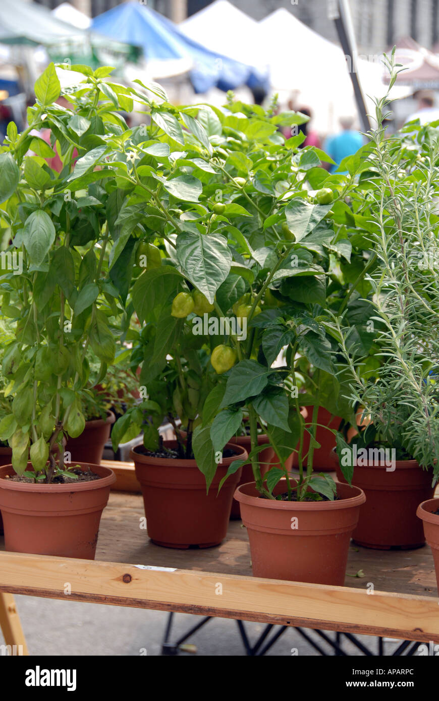 On display at a hi-res stock photography and images - Alamy