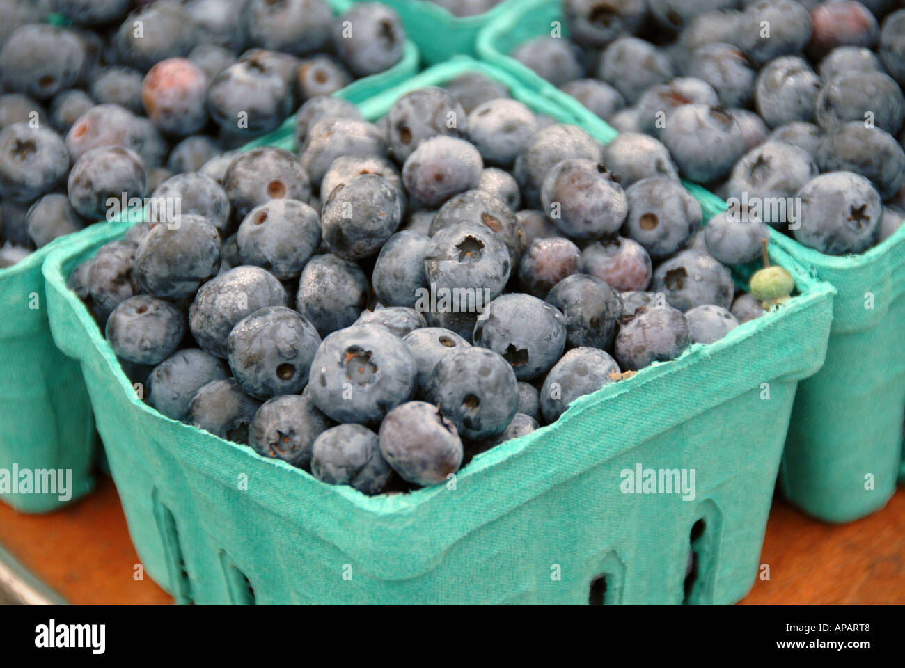 Blueberries fruitcardboard container hi-res stock photography and ...