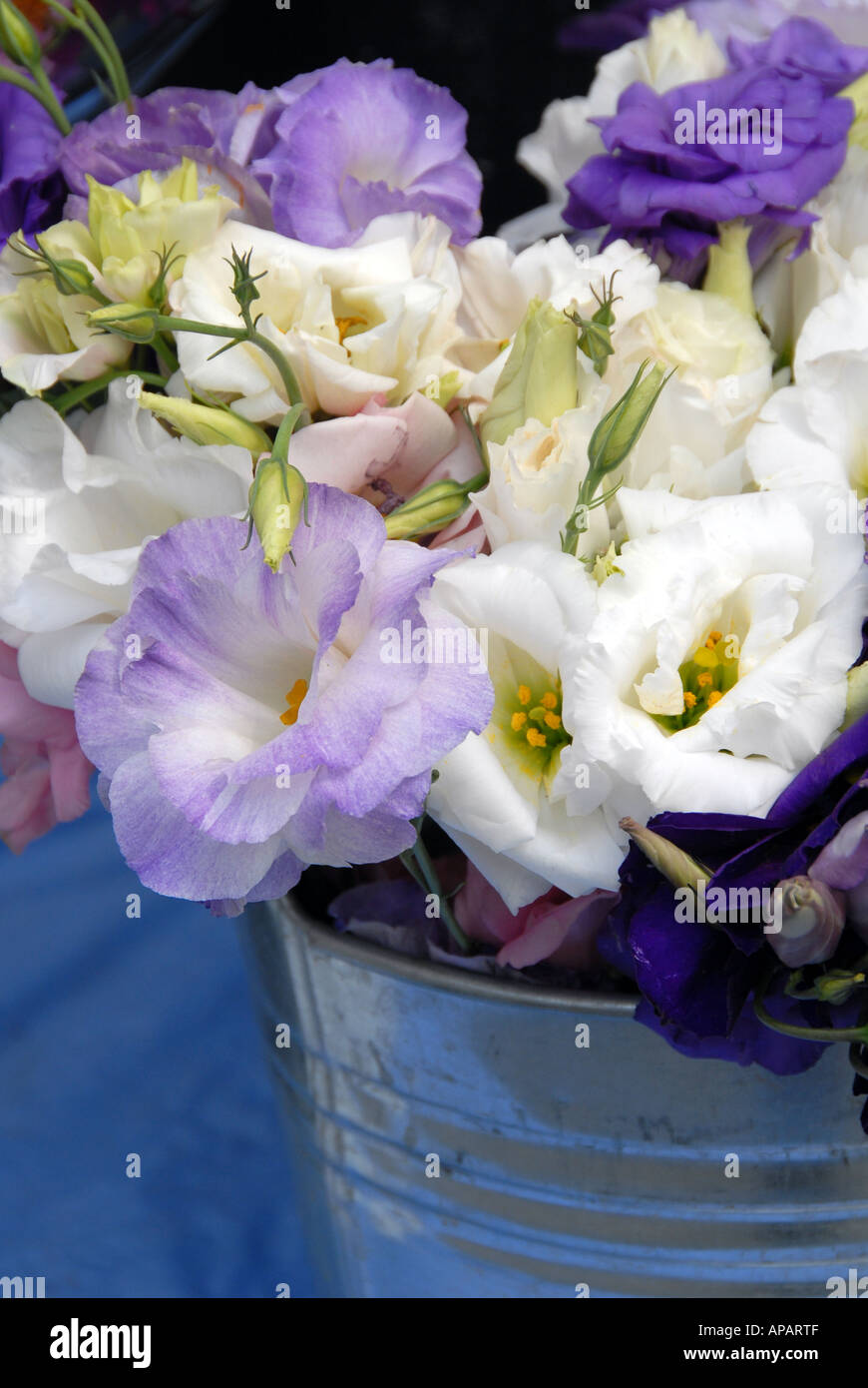 Farmers market flowers pink purple hi-res stock photography and images ...