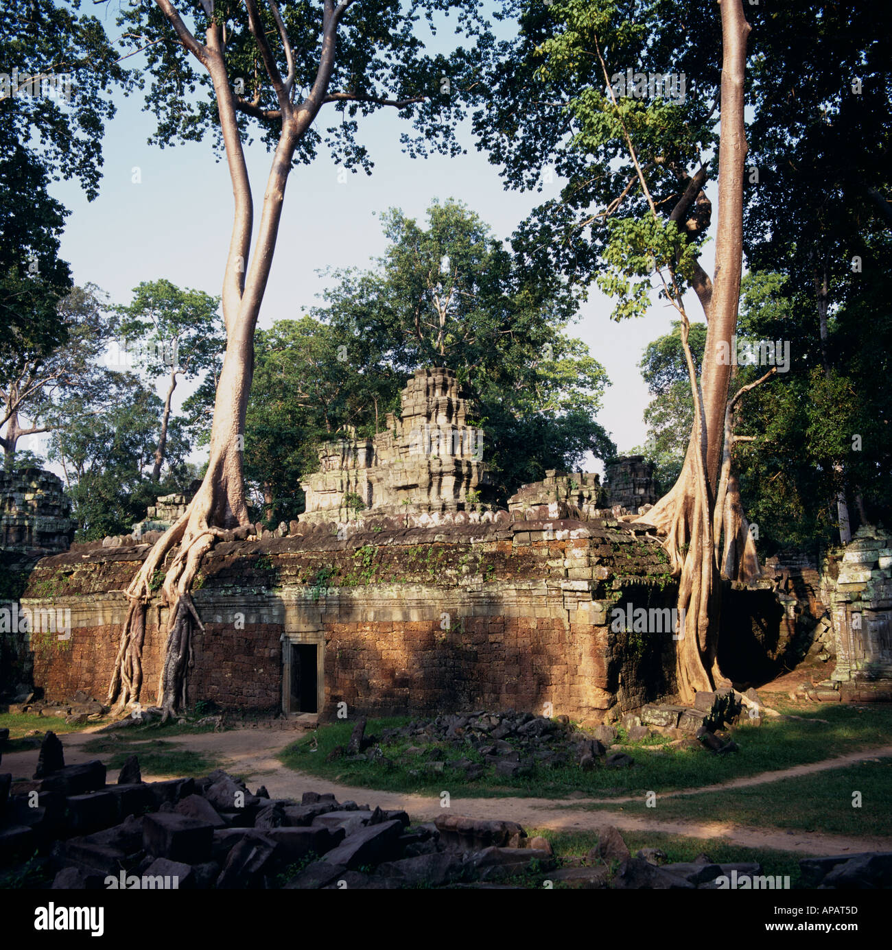 Ta Prom Angkor Wat Cambodia South East Asia Stock Photo - Alamy