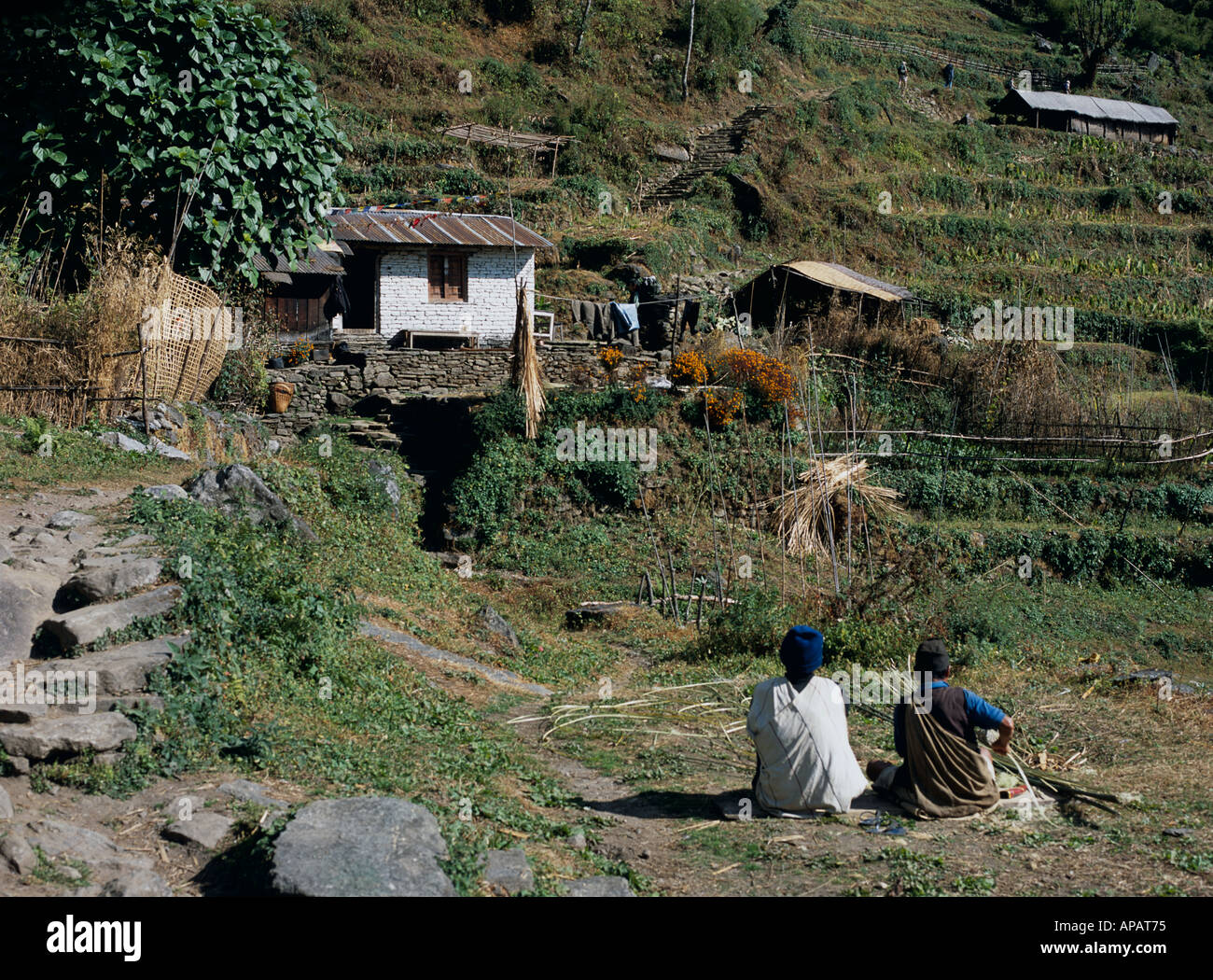 Local People In the Langtang District Himalayas Nepal Asia Stock Photo ...