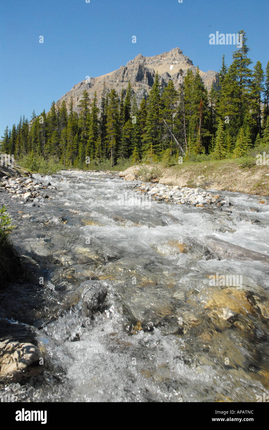 Typical mountainous, glacier fed river Stock Photo - Alamy