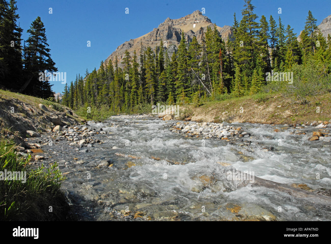 Typical mountainous, glacier fed river Stock Photo - Alamy