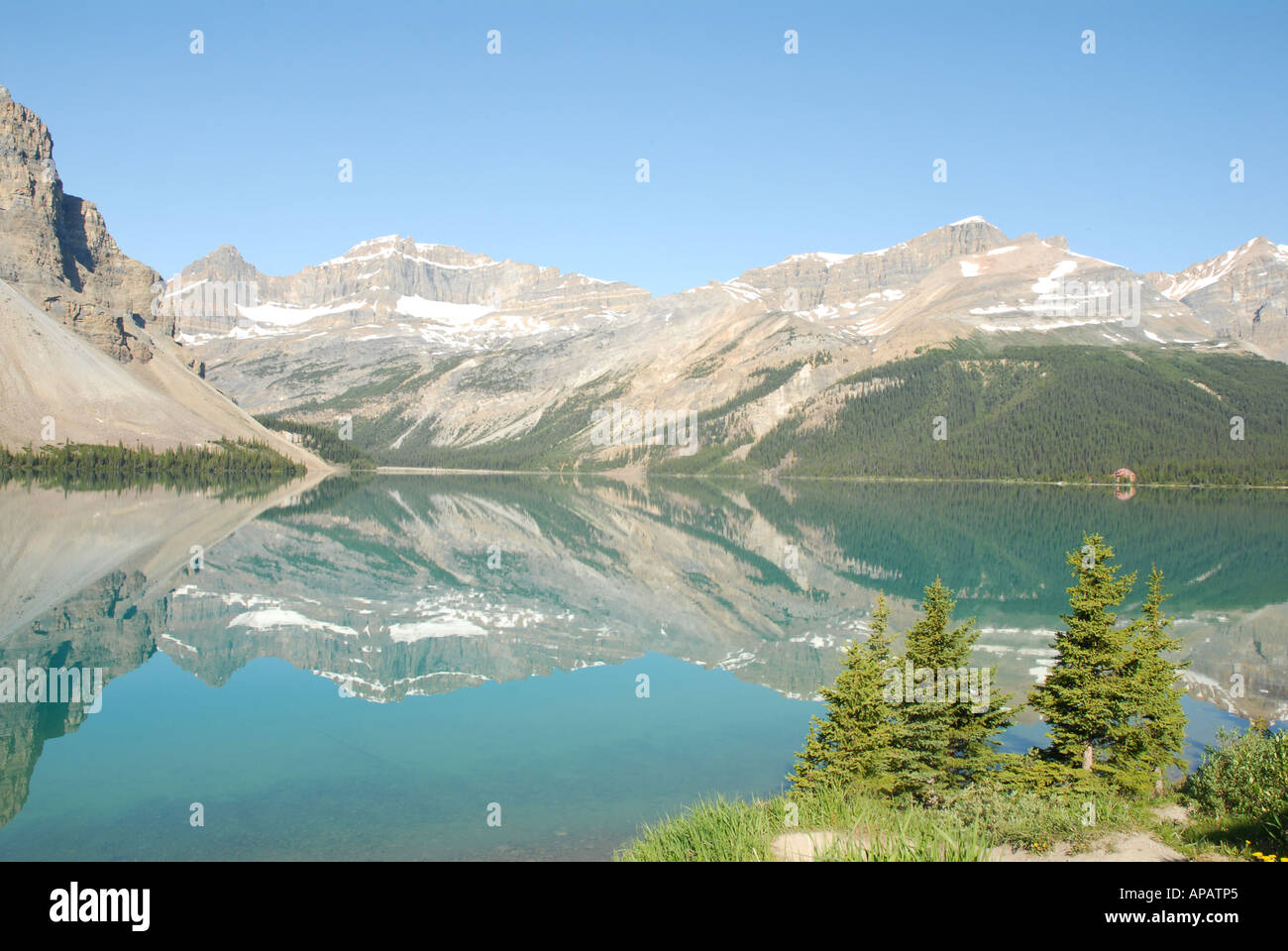 Perfect reflection in a Bow Lake Banff Stock Photo - Alamy