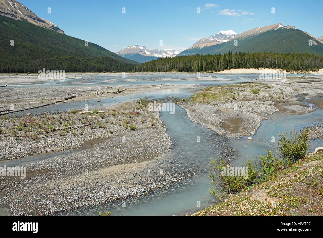 Meandering glacier-fed river Stock Photo - Alamy