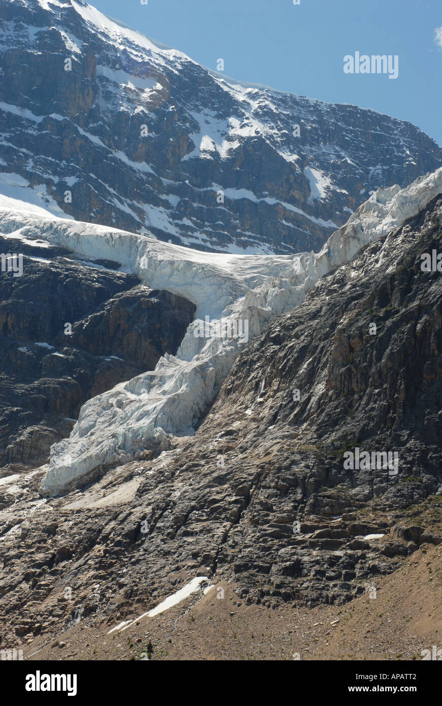 Angel Glacier at Mount Edith Cavell in Jasper National Park Stock Photo ...