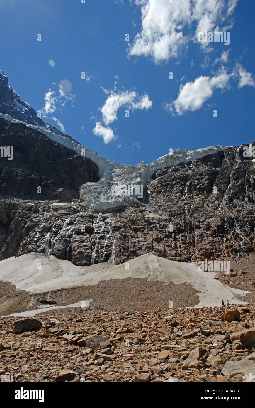 Angel Glacier at Mount Edith Cavell in Jasper National Park Stock Photo ...