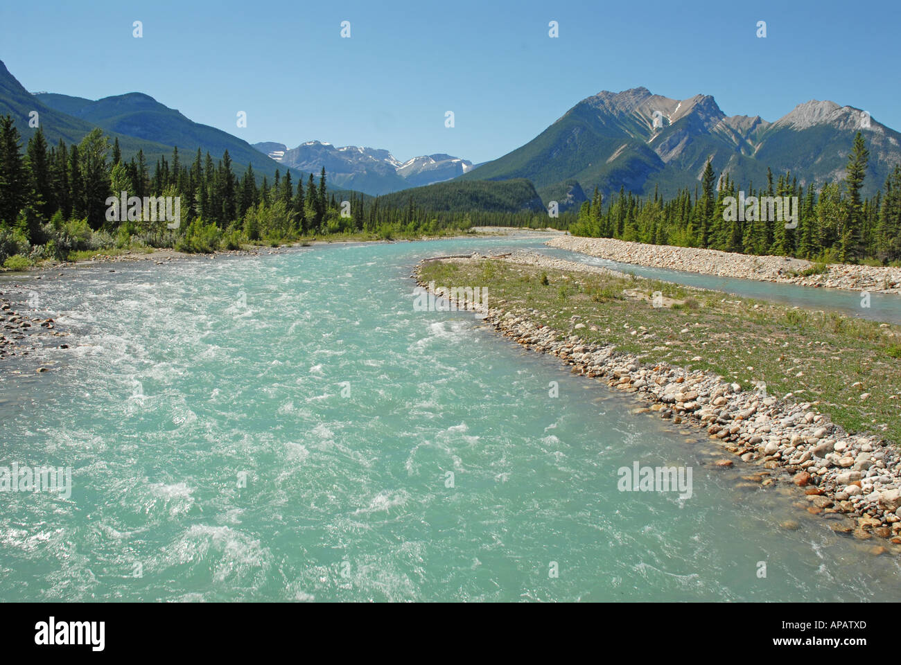 Glacier fed Sunwapta River in Jasper National Park Stock Photo - Alamy