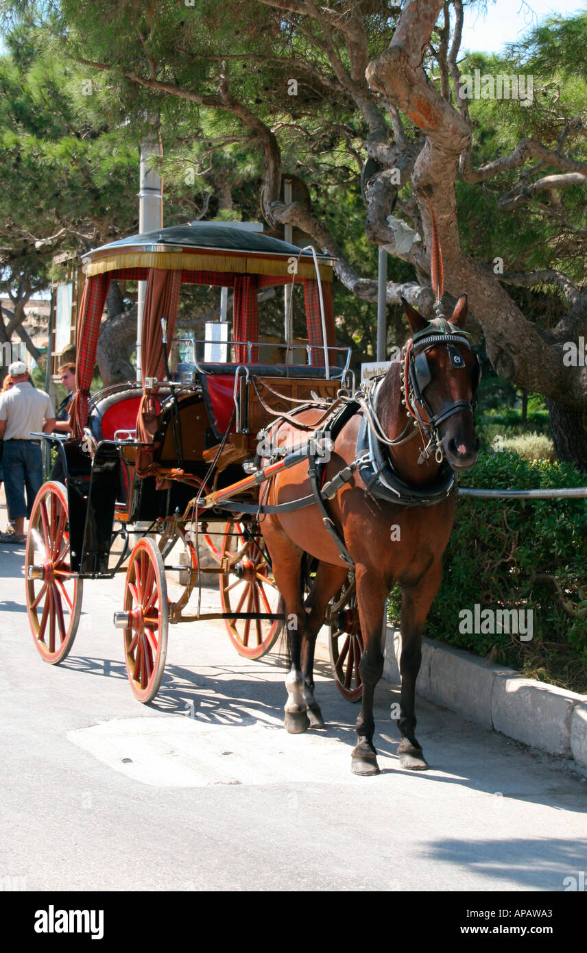 Horse buggy hi-res stock photography and images - Alamy