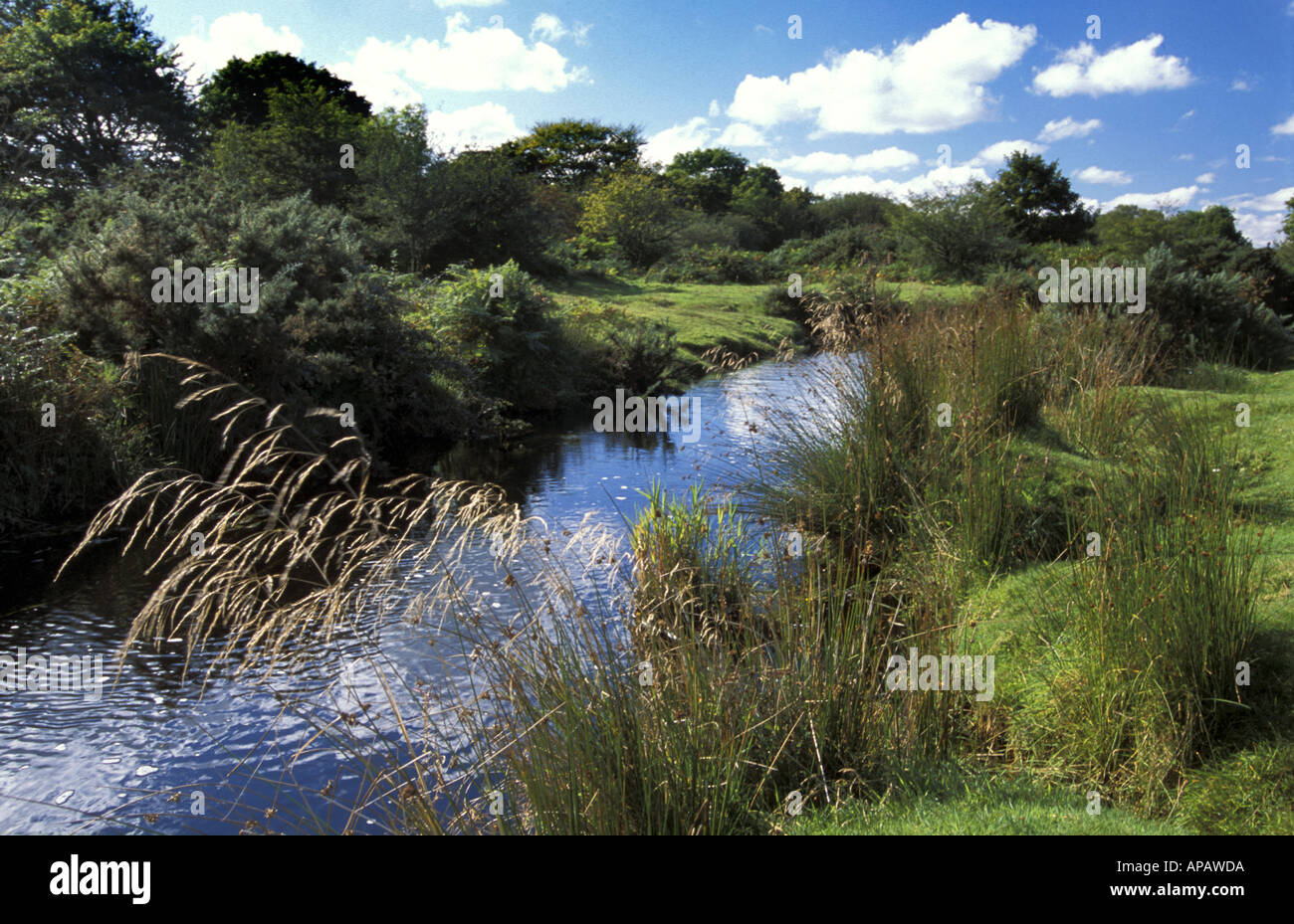 De lank river hi-res stock photography and images - Alamy