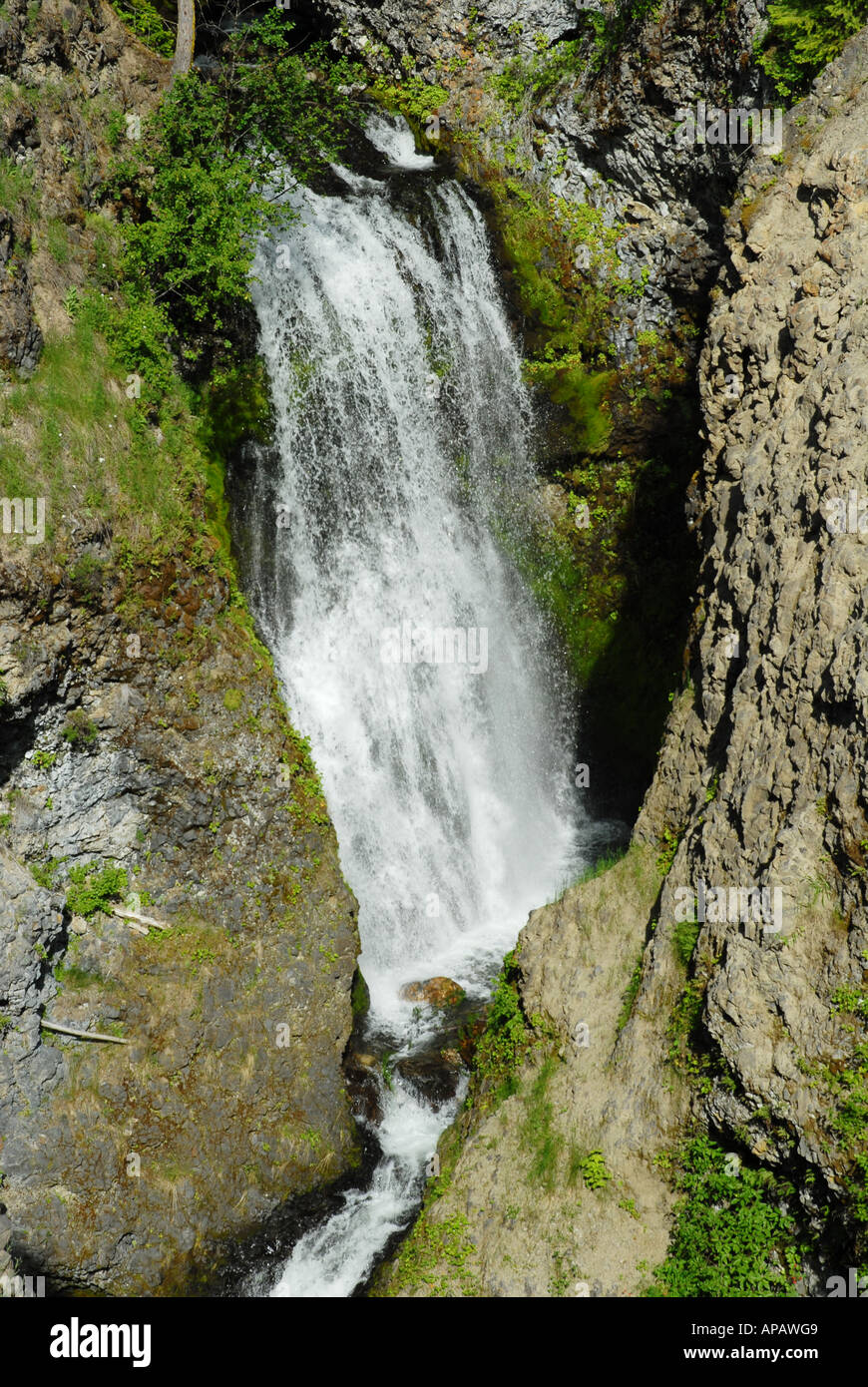 Power, spray and noise of waterfall dropping into a ravine Stock Photo ...
