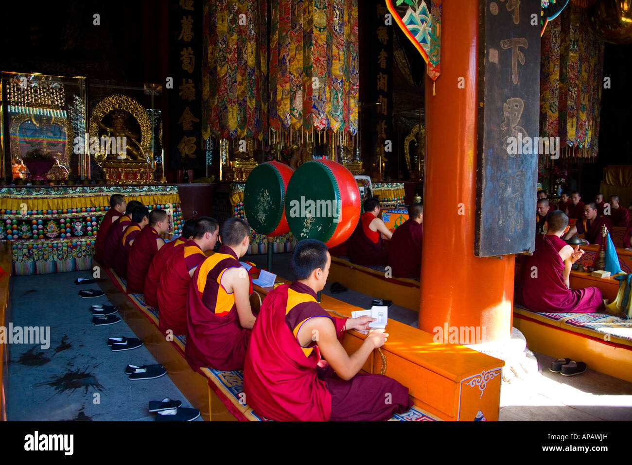 The Temple of Puning Chengde Stock Photo - Alamy