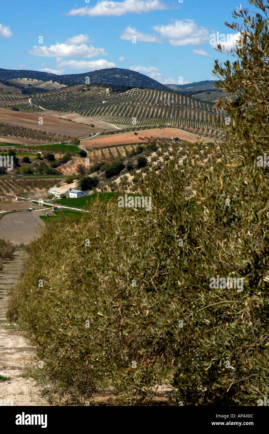 Adl0730 hi-res stock photography and images - Alamy