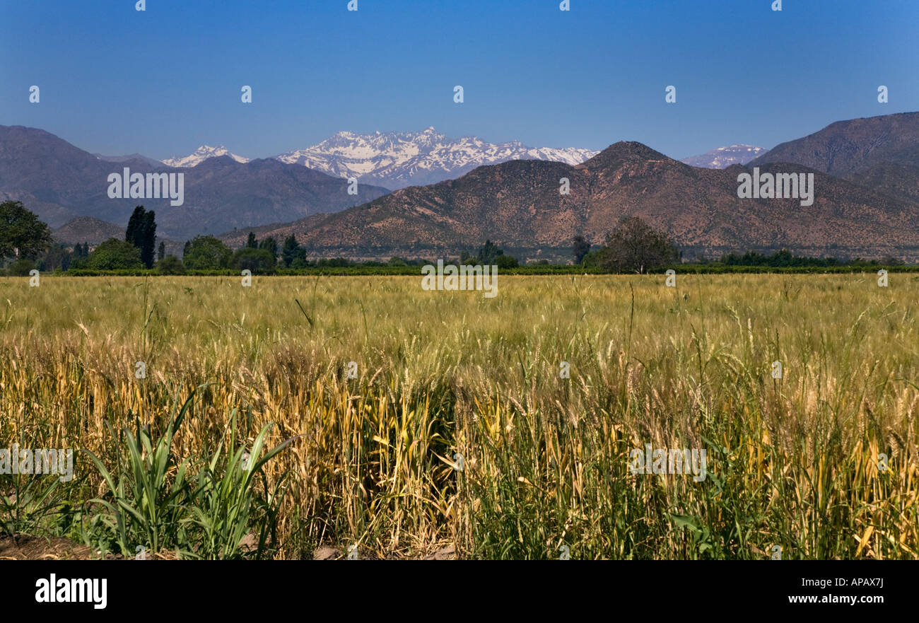 Rural Landscape outside the town of Los Andes, near Santiago, Chile ...