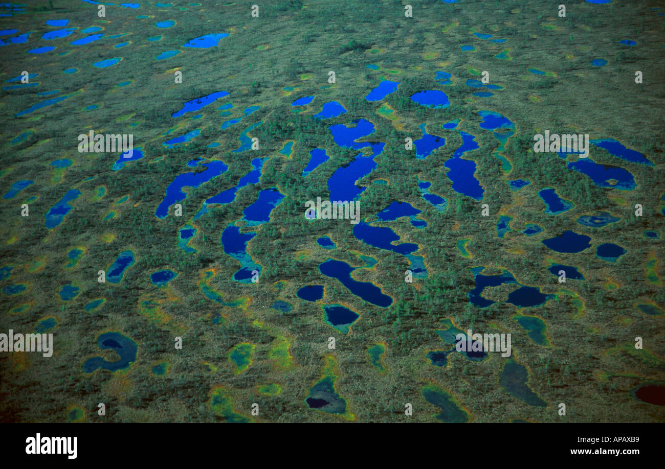 Aerial view of the Bog Stock Photo - Alamy