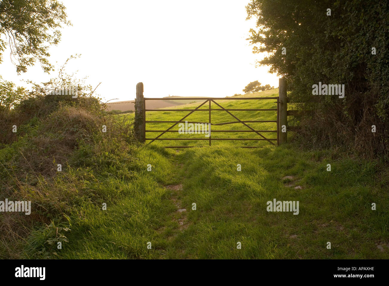 Old five bar metal gate, Devon England Stock Photo - Alamy