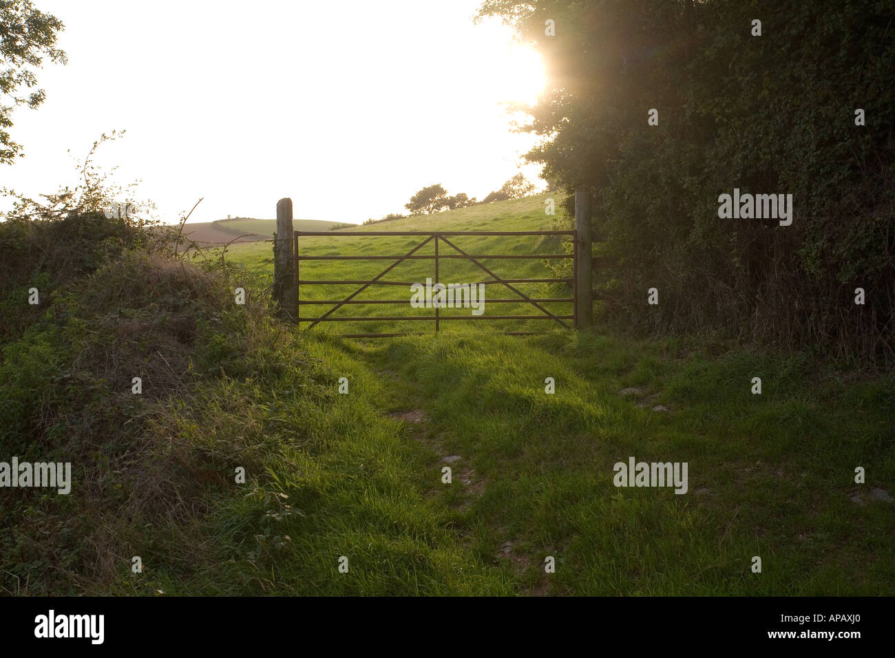 Old five bar metal gate, Devon England Stock Photo - Alamy