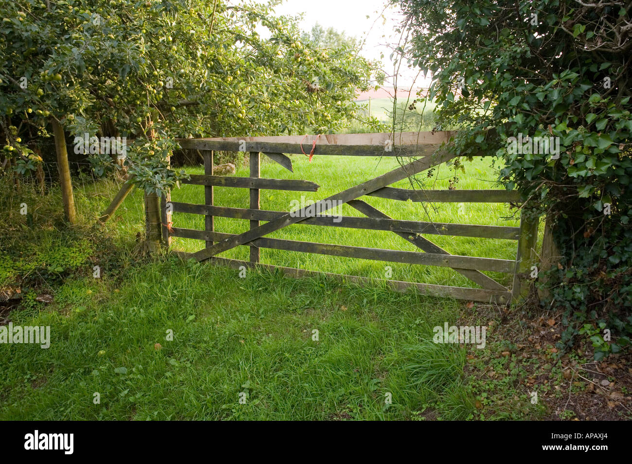 Old english farmyard hi-res stock photography and images - Alamy