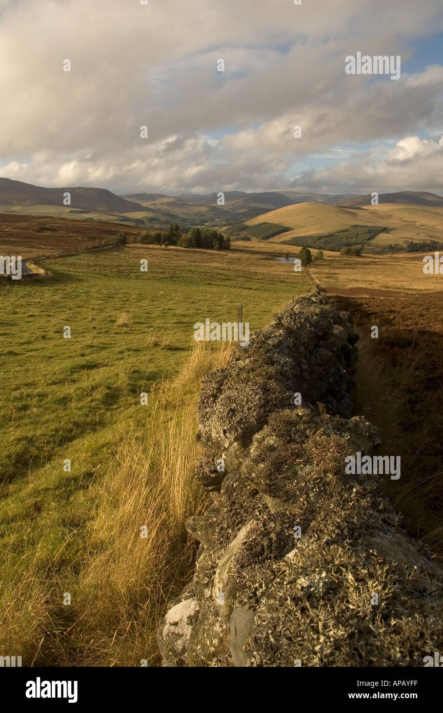 Glen Isla Angus Glens Scotland United Kingdom UK Stock Photo - Alamy
