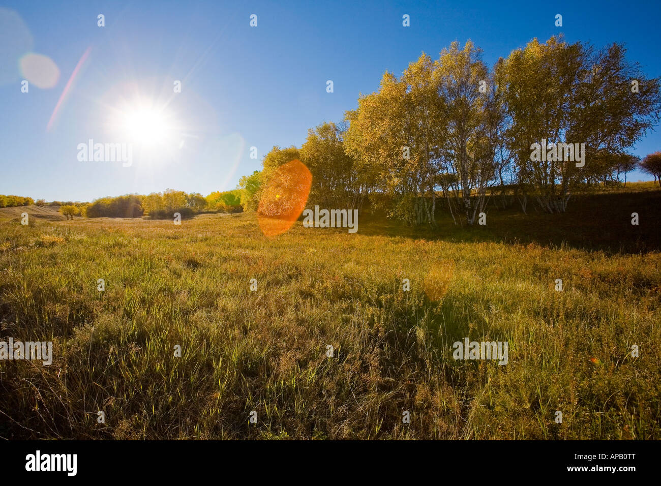 View of Bashang high plain Neimenggu Stock Photo - Alamy