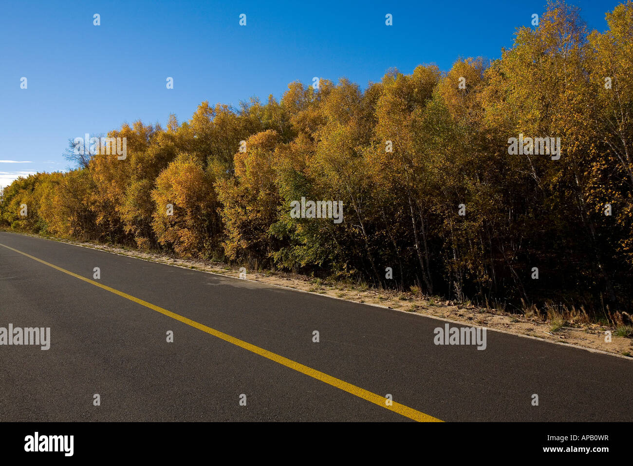 View of Bashang high plain Neimenggu Stock Photo - Alamy