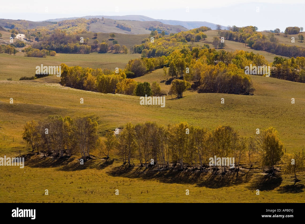 View of Bashang high plain Neimenggu Stock Photo - Alamy